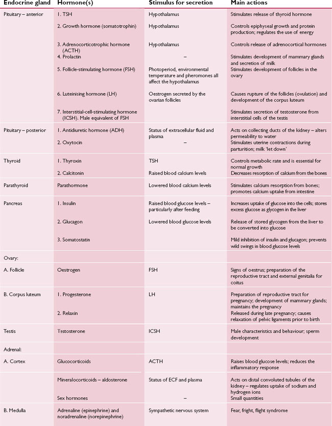 Endocrine Glands And Their Hormones Chart The Best Porn Website Endocrine Glands And Their Hormones Chart The Best Porn Website