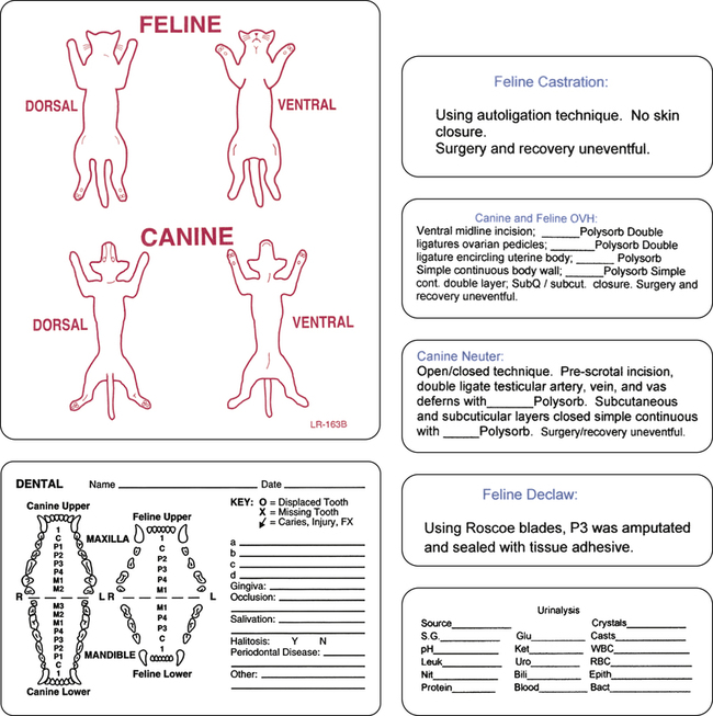 Medical Records Management Veterian Key
